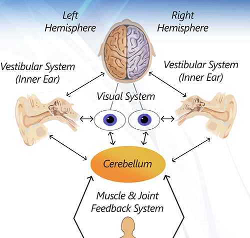 Vertigo, Dizziness & Balance Problems - Dr. David Clark, DC Functional ...